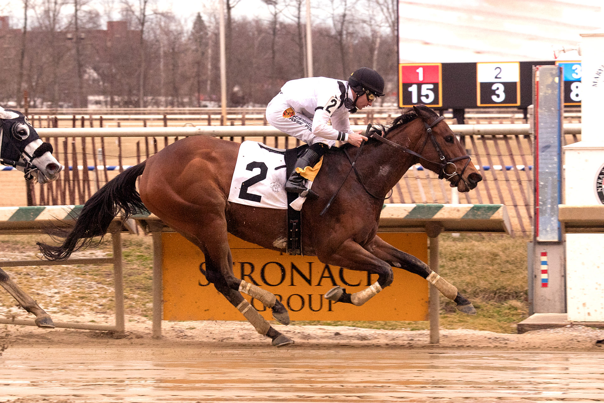 Regret Stakes / The Match Series